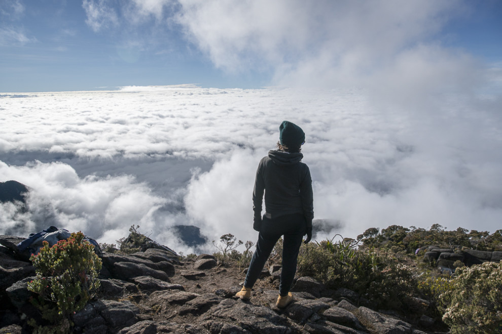 Mount Kinabalu Besteigung Bergwanderung über den Wolken