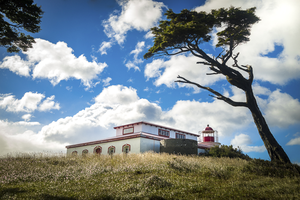 PhotoTravelNomads.com - South America - Chile - Punta Arenas ...